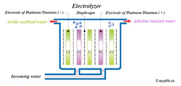 How does a water ionizer work ? | Aqualife